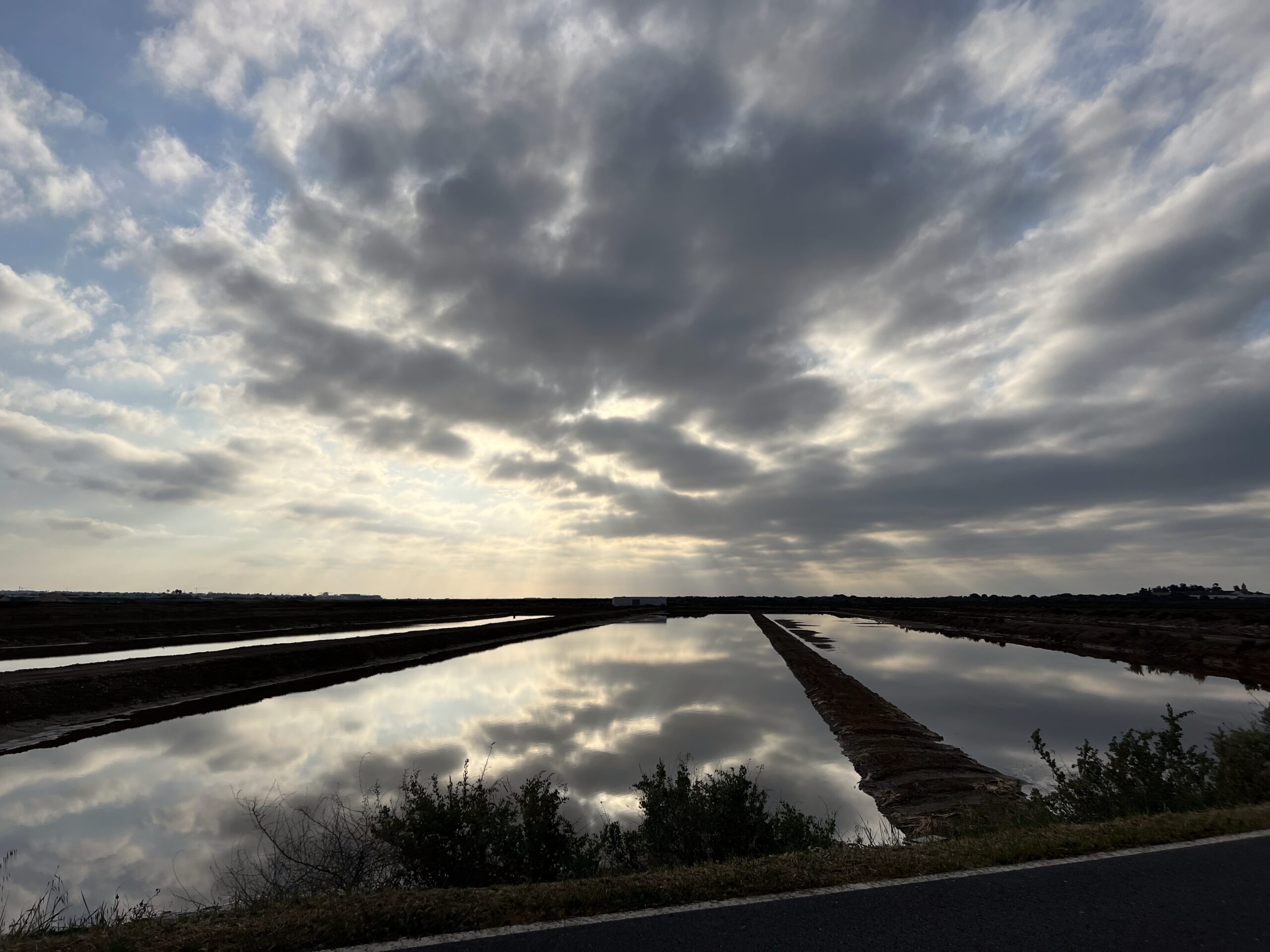 No Salt on the Road! – Billy's Best Bottles: Billy Munnelly and Kato ...